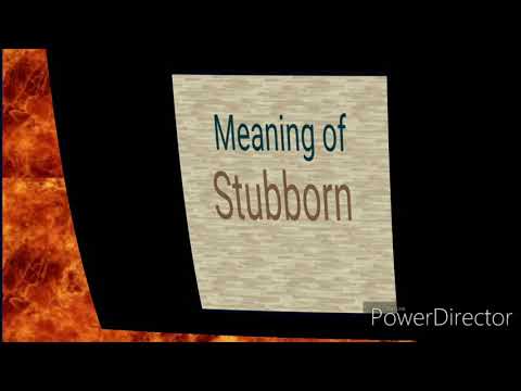 Meaning of stubborn