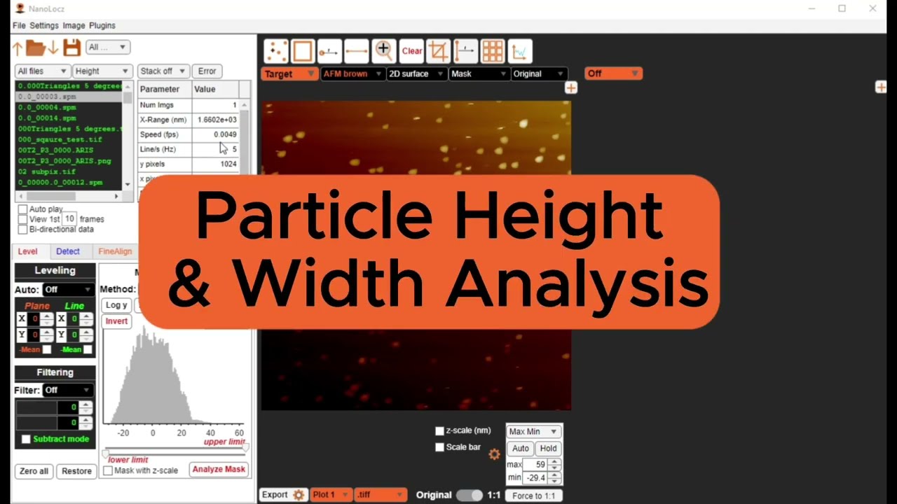 NanoLocz Tutorial: Automatic Height + Width Analysis
