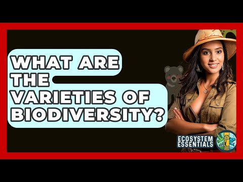 What Are The Varieties Of Biodiversity? - Ecosystem Essentials