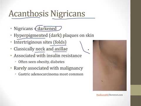 Course dermtology first course