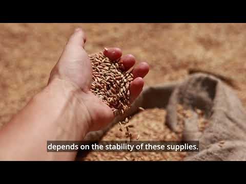 Global food crisis. Another russian war crime
