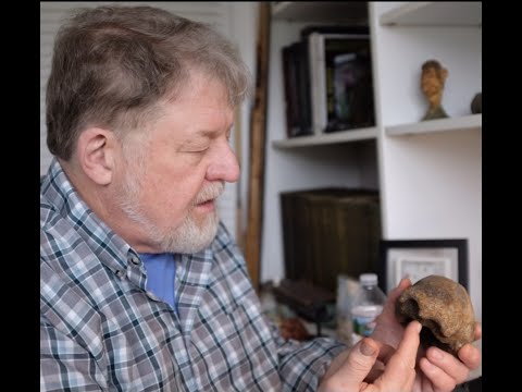 Homo erectus Fossil Skull ๐