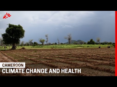 Climate Change Worsens Crises in Cameroon