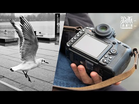 Feeling Black and White again... First Street Photography Day in 2023 ...