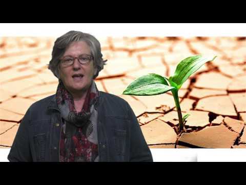 Honors Climate Change Biology