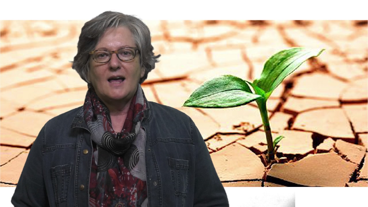 Honors Climate Change Biology