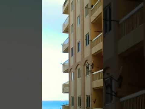 Blue sea and the chirping birds #nature #beautifulnature #Shorts