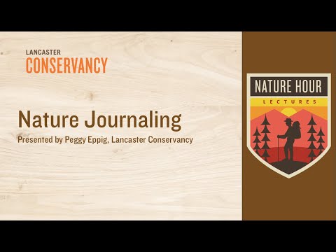 Nature Hour: Nature Journaling