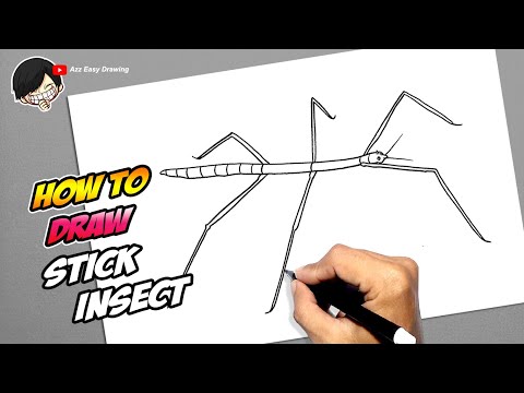 How to draw Stick Insect