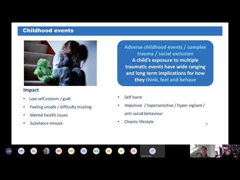 HLP Covid Homeless Health Primary Care webinar 1 (8 June 2020)