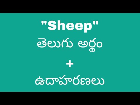 Sheep meaning in telugu with examples | Sheep తెలుగు లో అర్థం @Meaning in Telugu