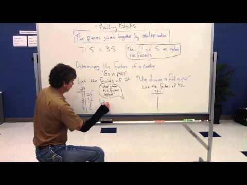 31a Factors Ep. 1