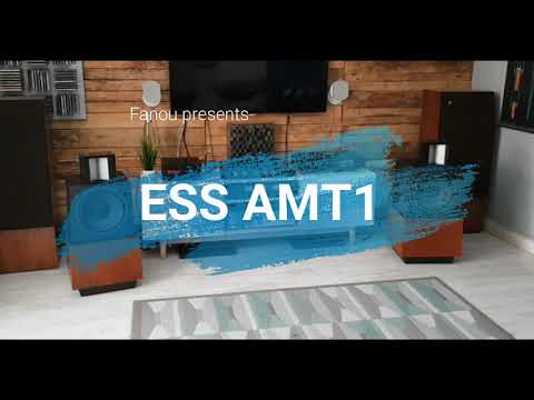 ESS AMT-1D 1978 OAK WOOD AND BLACK | Reverb