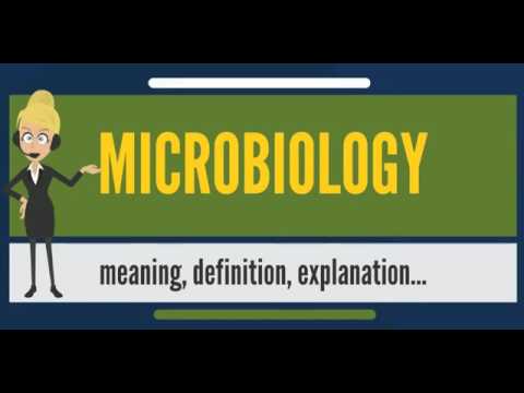 What is MICROBIOLOGY? What does MICROBIOLOGY mean? MICROBIOLOGY meaning, definition & explanation
