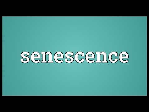 Senescence Meaning