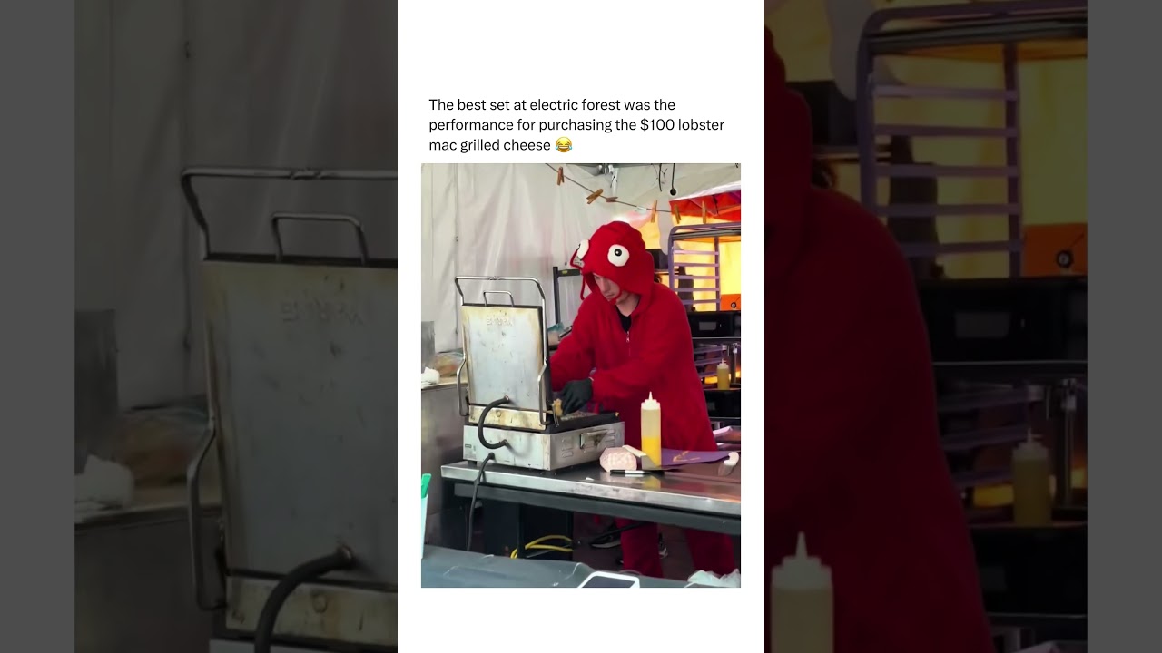 That’s a $5 lobster grilled cheese and a $95 performance 💯 #edm #electronicdancemusic #festival