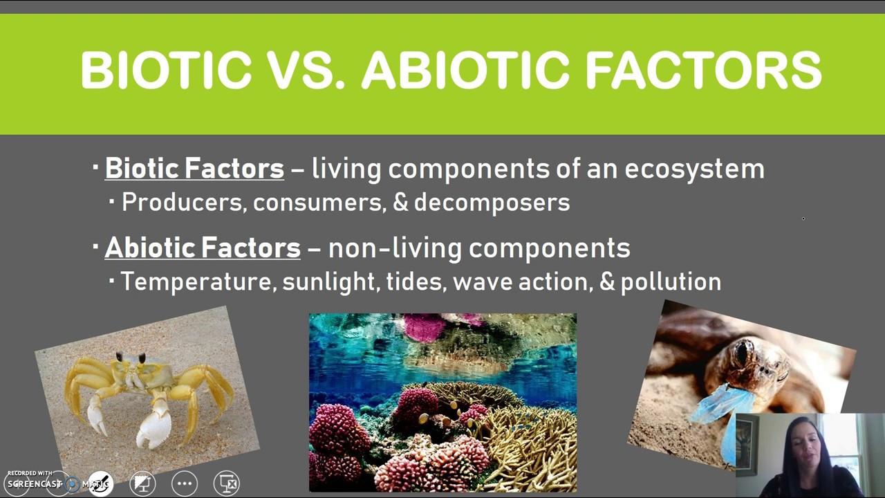 Bio - Ecology #1 (updated)