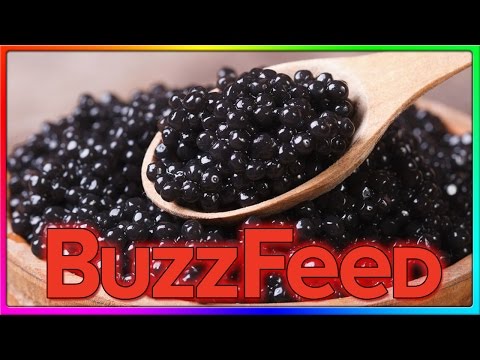 EXPENSIVE FOOD | BuzzFeed Quizzes