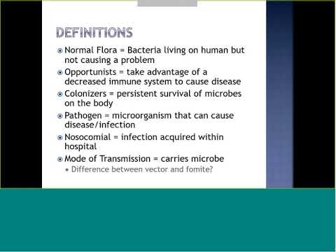 Exam 1 Review - Micro I