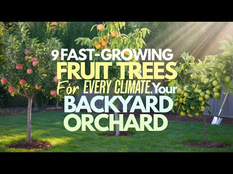 9 Fast-Growing Fruit Trees for Every Climate: Your Backyard Orchard Guide!#FastGrowingFruitTrees