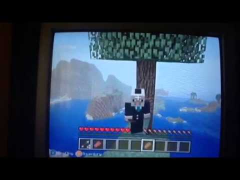 Jewish Sheep Skin Minecraft Rant