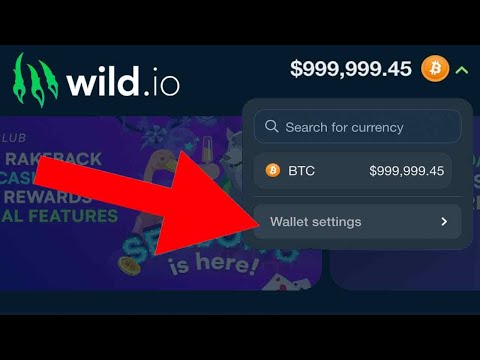 Wild.io Casino Review - Successful Withdrawal!