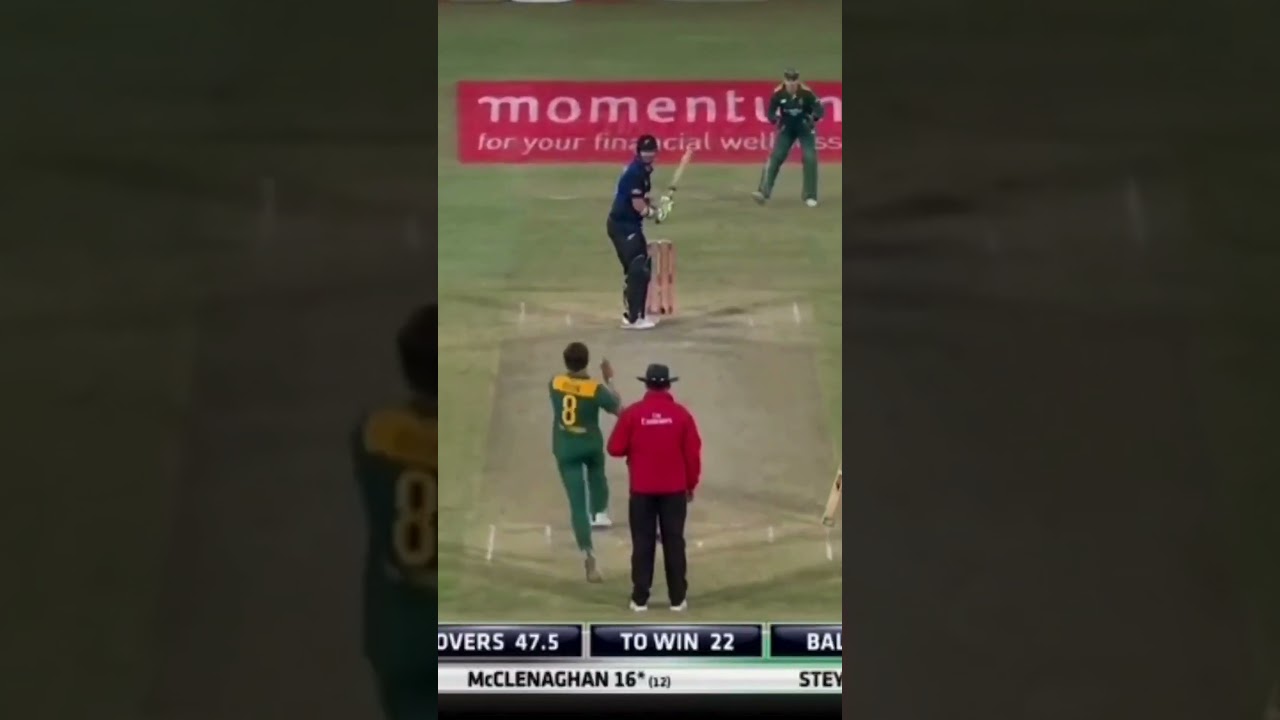 Dale Steyn Breaks the Stump