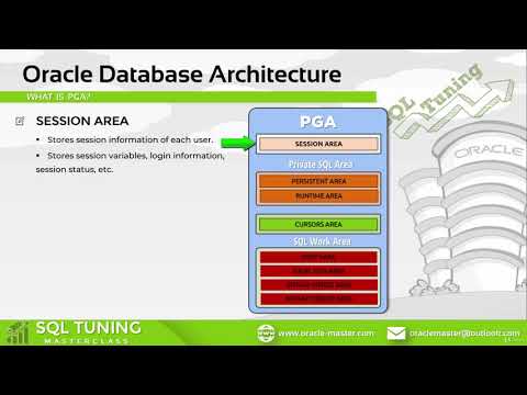 What is PGA? - Oracle SQL Tutorial