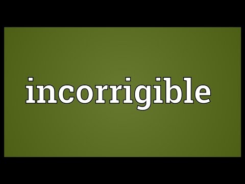 Incorrigible Meaning