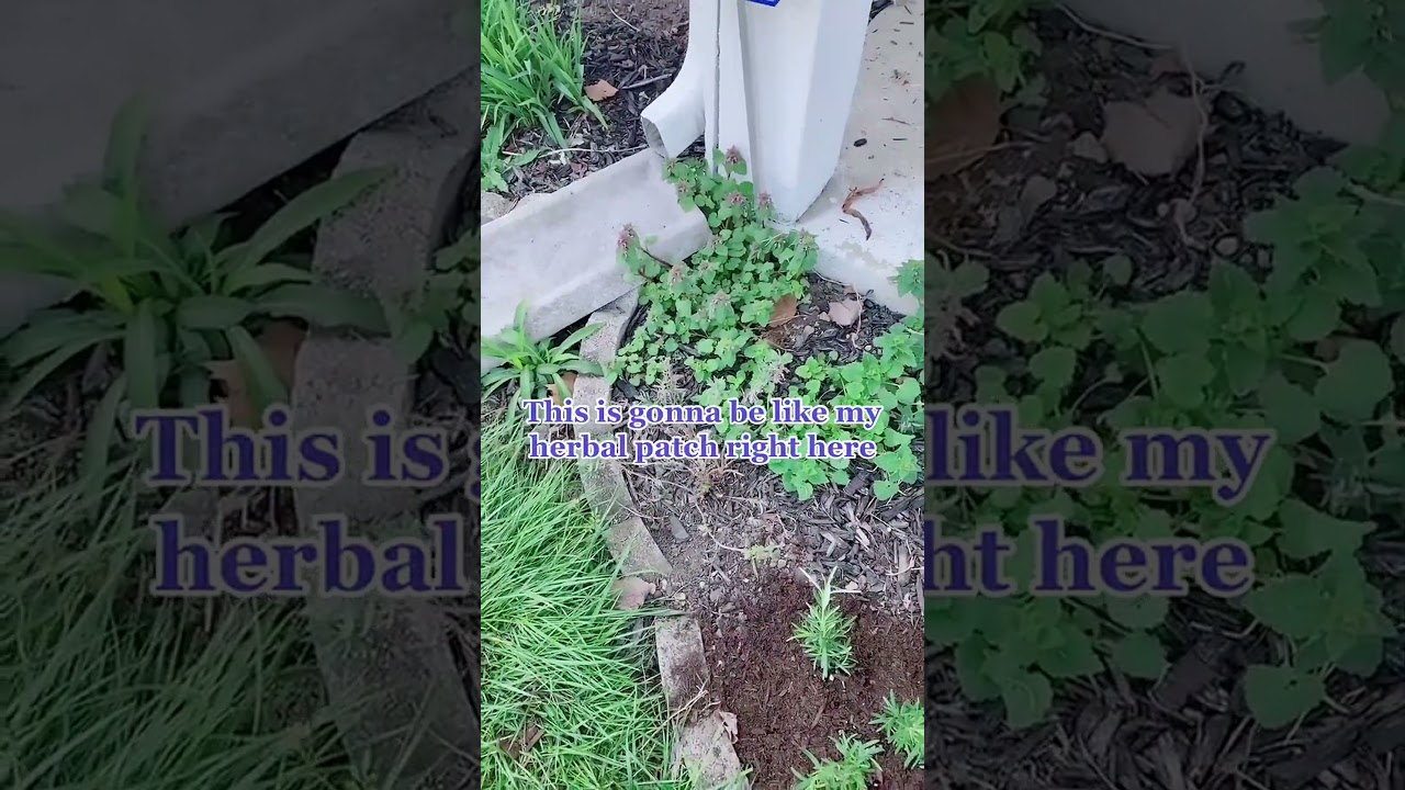 Replace with a title#example1 #example2 #example3 #example4