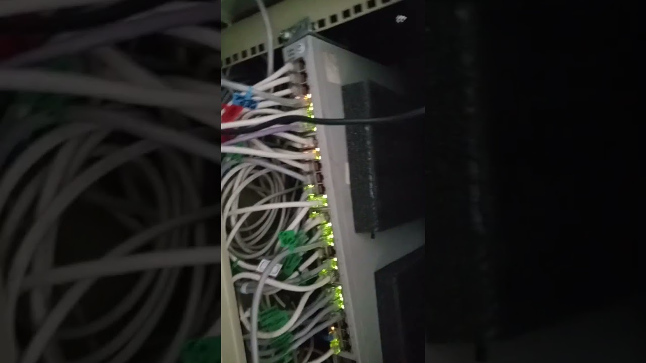 cisco switch lights blinking