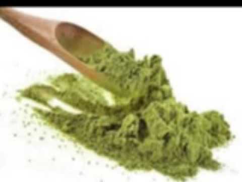 Moringa Leaf Powder Manufacturers & Suppliers@dealnity.com