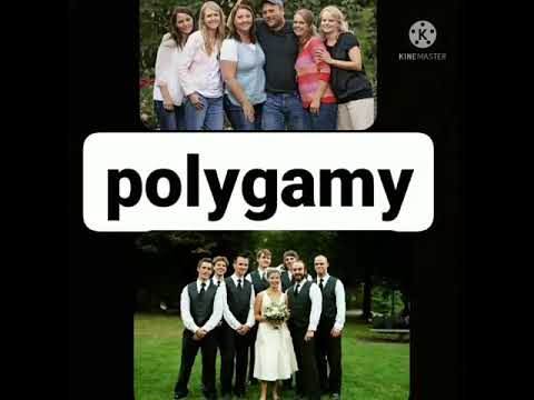"poly---" at the beginning of words