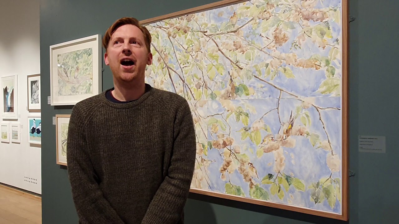 Chris Wallbank | Society of Wildlife Artists Prize Winner