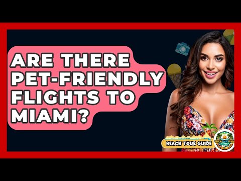 Are There Pet-friendly Flights To Miami? - Beach Tour Guide