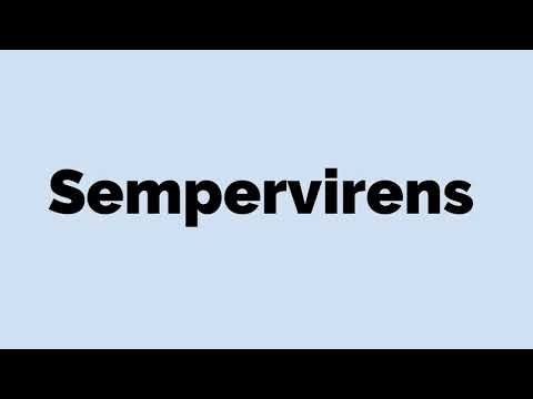 How to pronounce Sempervirens? How do you correctly say the word Sempervirens? 😊
