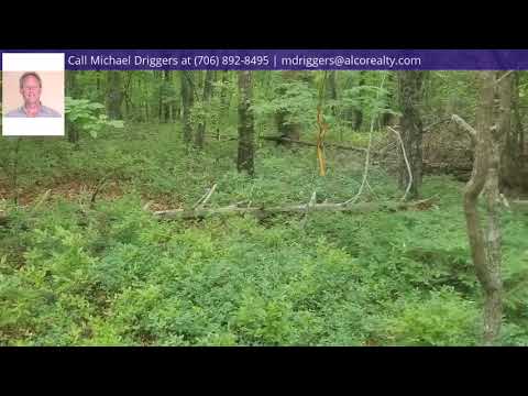 Tract 2, Cleveland, GA 30528 - MLS #8597564