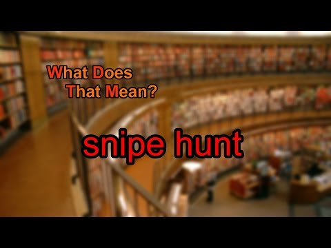 What does snipe hunt mean?
