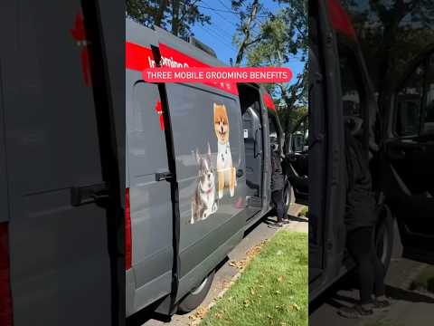 If you've seen this cool van in the streets, you know it's mobile grooming by Groomit πΆ