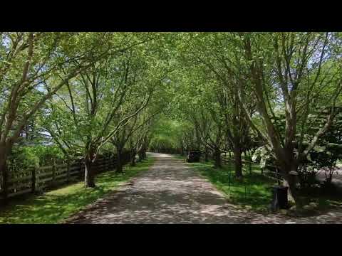 Virtual Tour of Prime Hamptons Parcel at 8 Morgan Hill Way, Bridgehampton, NY