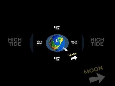 Tides explained. #earth #tides #science #cosmoknowledge