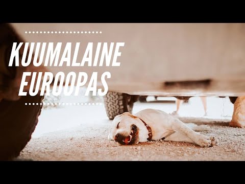 Elame ĂŒle kuumalaine Euroopas