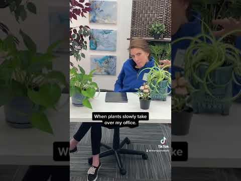 When Plants Slowly Take Over My Office