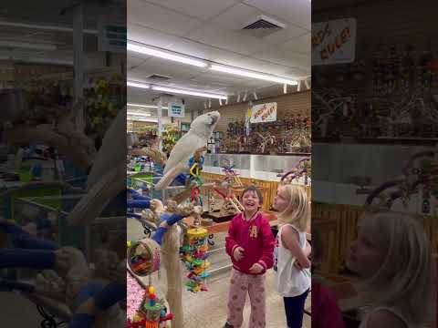 World’s Largest Bird Store
