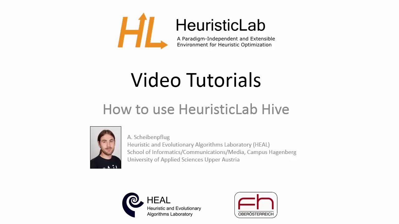 How to use HeuristicLab Hive