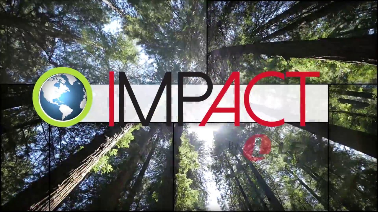 IMPACT by Lear