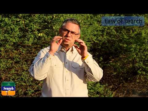 Law of search (Law 1 of 7)