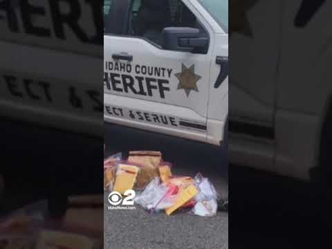 Idaho County Sheriff's Office deploys K9s 93 times over Memorial Day weekend