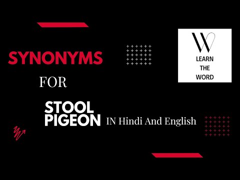 Another Word for Stool Pigeon // Learn The Word //