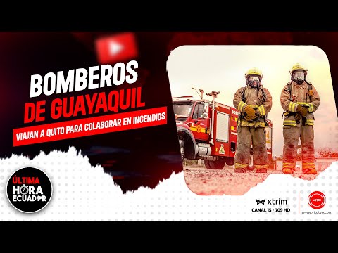 Ambar en vivo: Bomberos de Guayaquil se preparan para viajar a Quito para colaborar en incendios